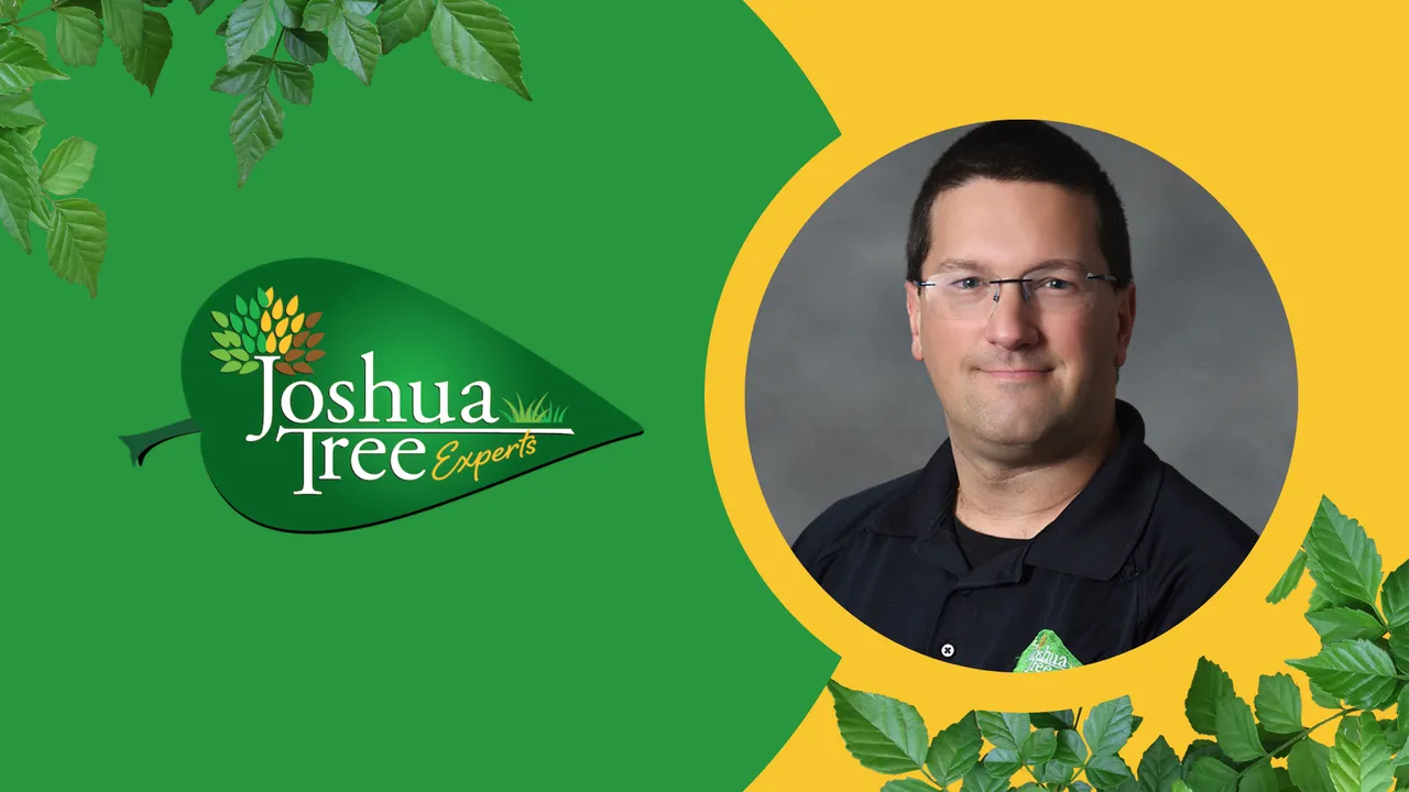 How Joshua Tree Experts Has Developed an Unparalleled Franchisee ...