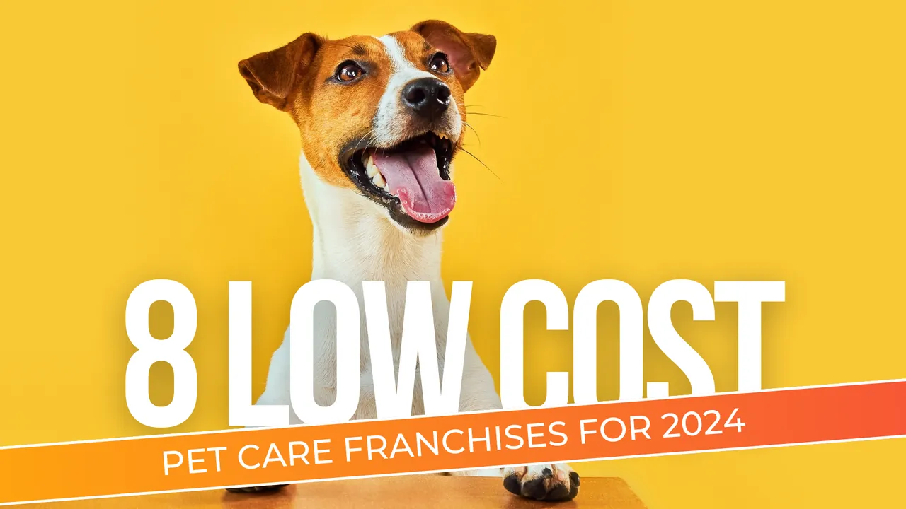 Pet Care Franchises: Low-Cost Opportunities for Entrepreneurs