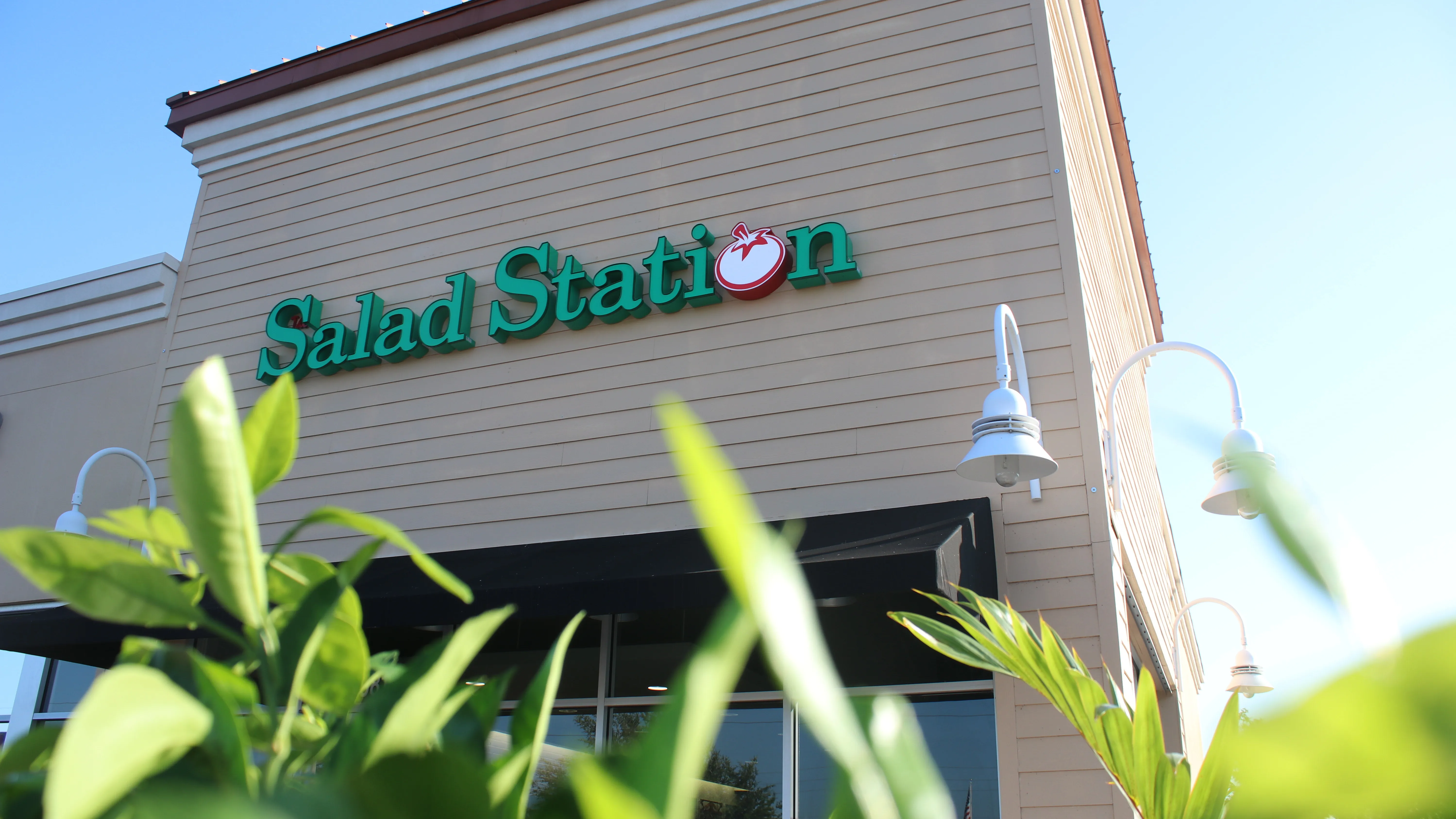 10 Key FAQs About Owning a Salad Station Franchise