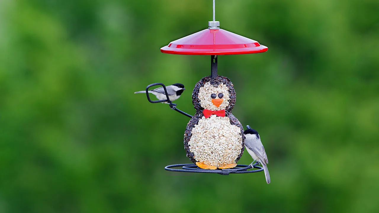 How Wild Birds Unlimited Is Spreading the Joy Safely for the 2020 Holiday Season