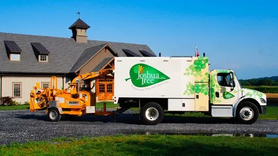 Joshua Tree Experts Signs First Franchisee, Expands in New York