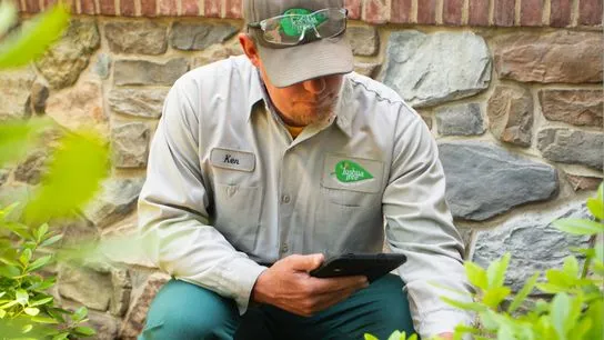 Joshua Tree Experts’ Unrivaled Technology Support for Franchisees: A ...