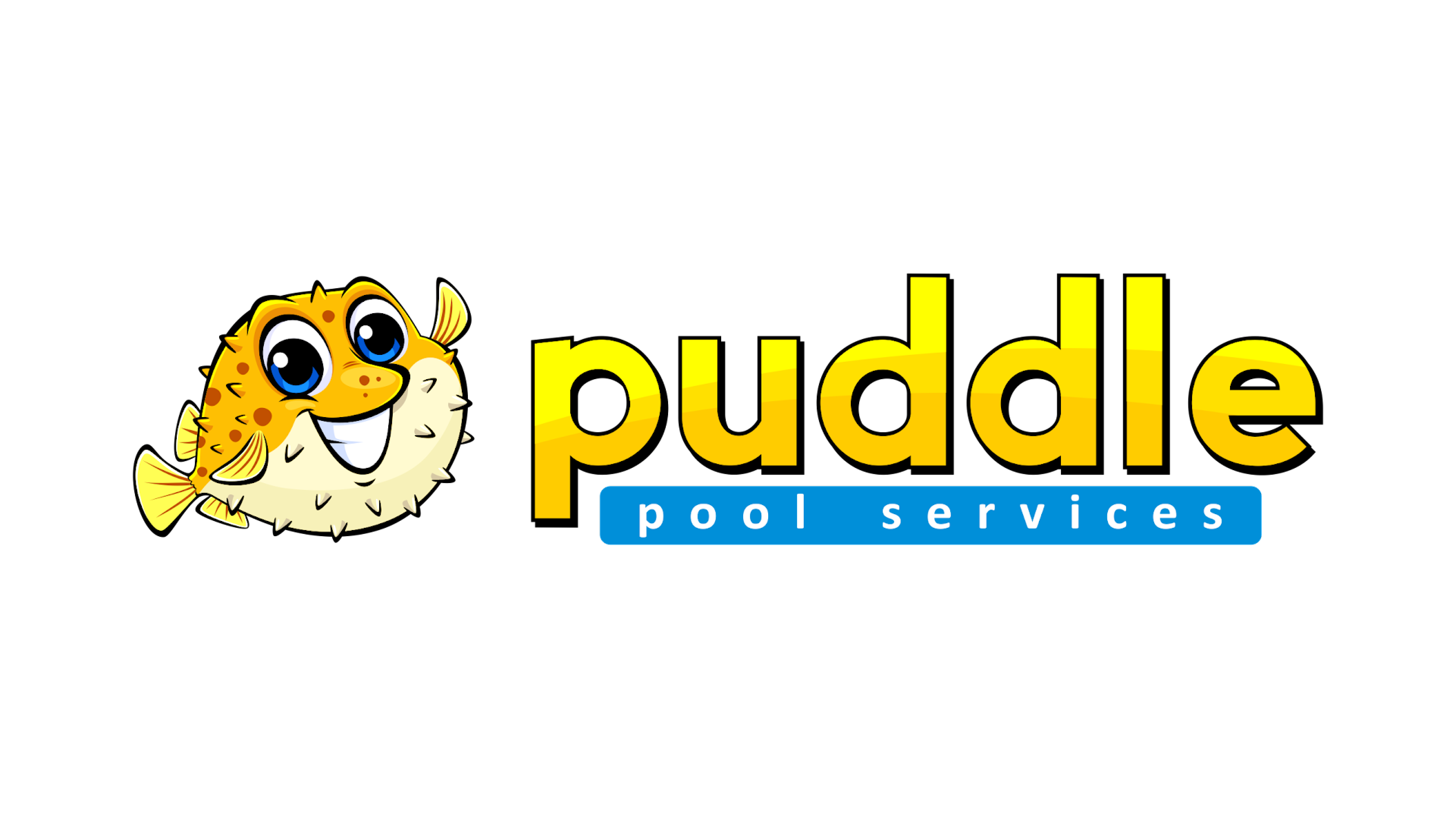 Puddle Pool Cleaning Industry Franchise Opportunity